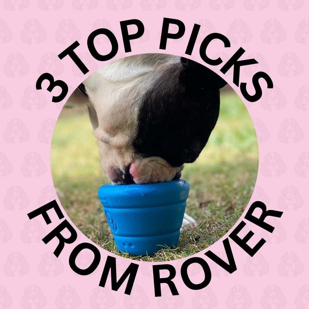 3 Top Picks for Enrichment | Rover Pet Products | Dog Food