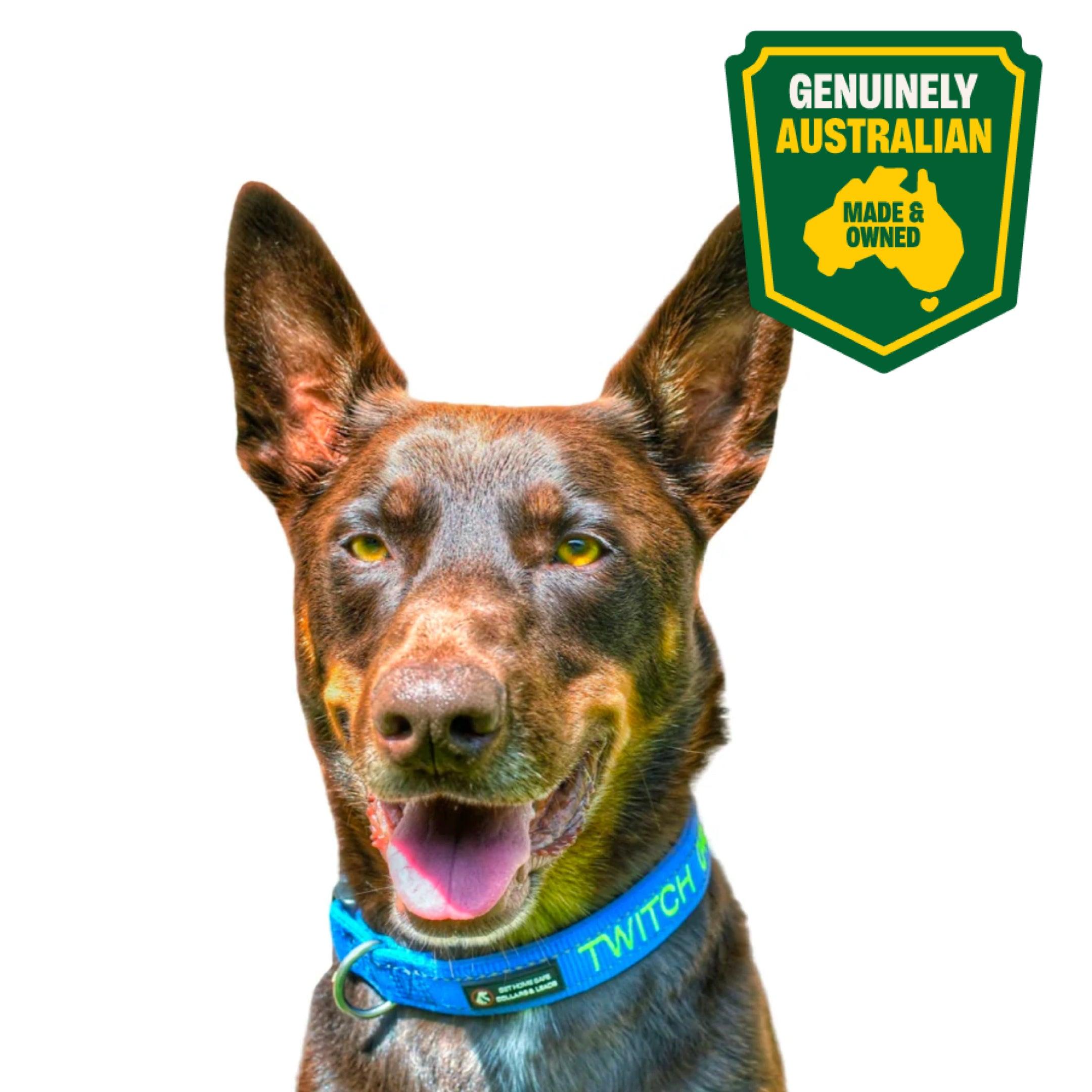 Helping Dog's Get Home Safe Means The World To Us! – Rover Pet Products