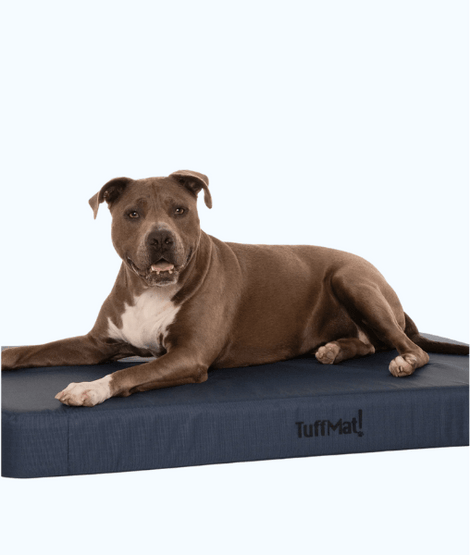 Australia's Favourite Online Pet Supplies Store | Rover Pet Products